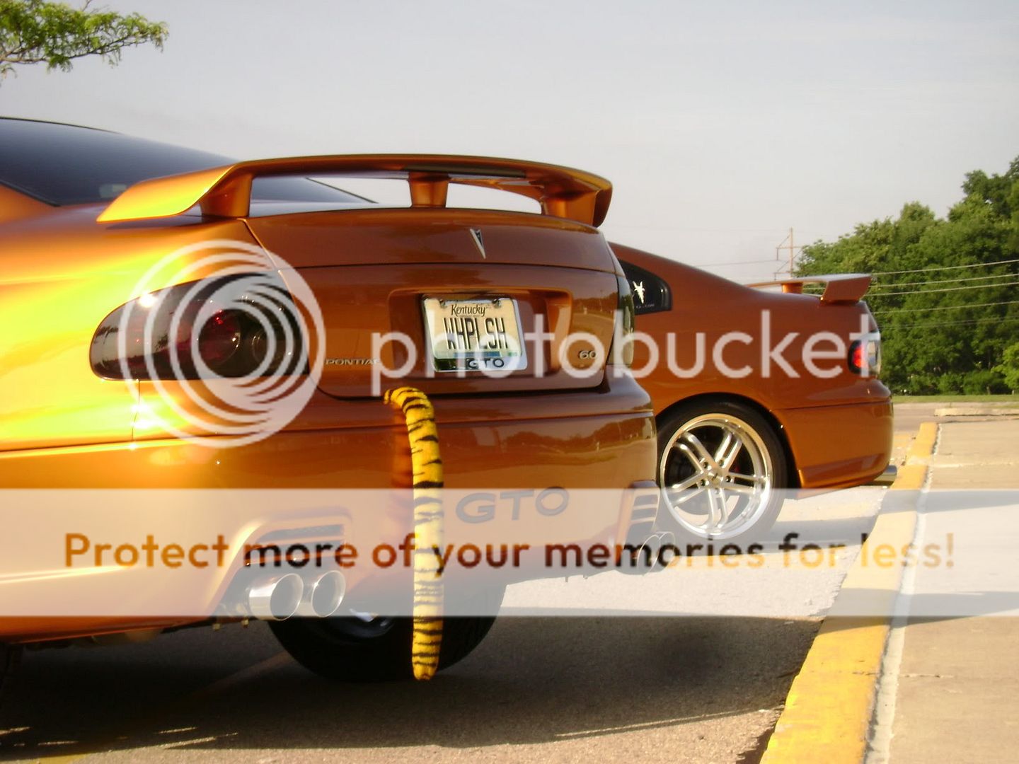 Lets see your GTO lettering inlays.. | Page 2 | LS1GTO Forums