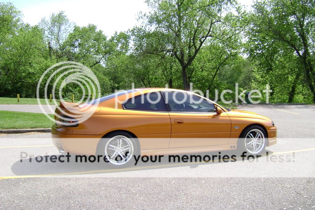 Wheels on Brazen Orange GTO? | LS1GTO Forums