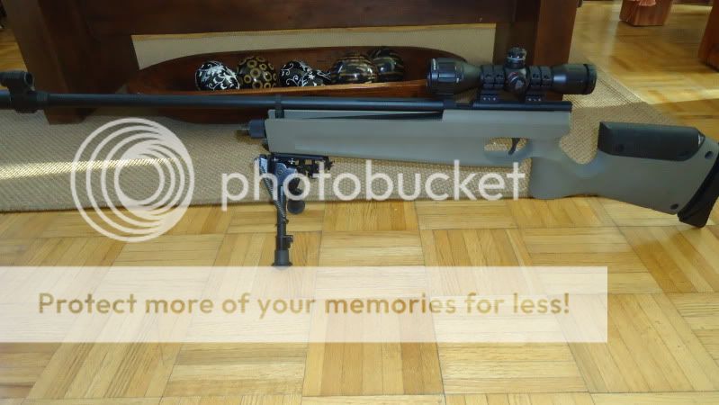 Tau 200 jr Ressurection - Canadian Airgun Forum