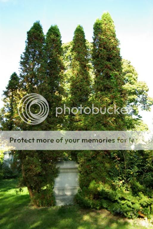 Cemeteries in your city | SkyscraperCity Forum