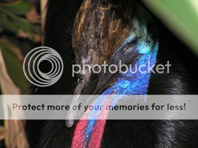 For Kris - TRAVEL LOGS - PalmTalk