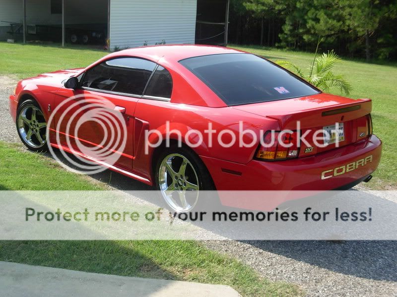 99 Cobra Build | Modded Mustang Forums