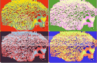 Best way to crush up kibble? | Hedgehog Central