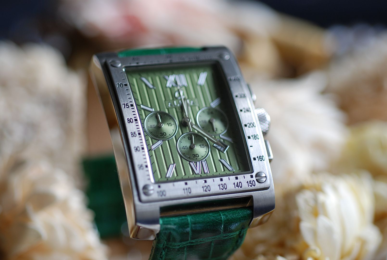 All set for St. Patty's Day ................ | WatchUSeek Watch Forums