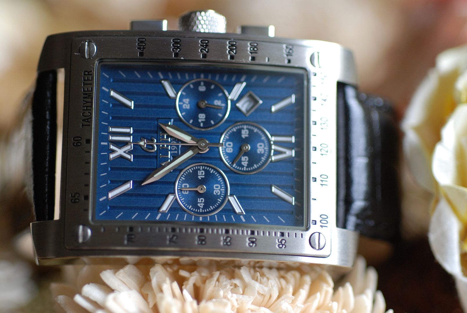 All set for St. Patty's Day ................ | WatchUSeek Watch Forums